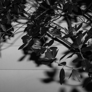 Landscape – Jeremiah Keyes